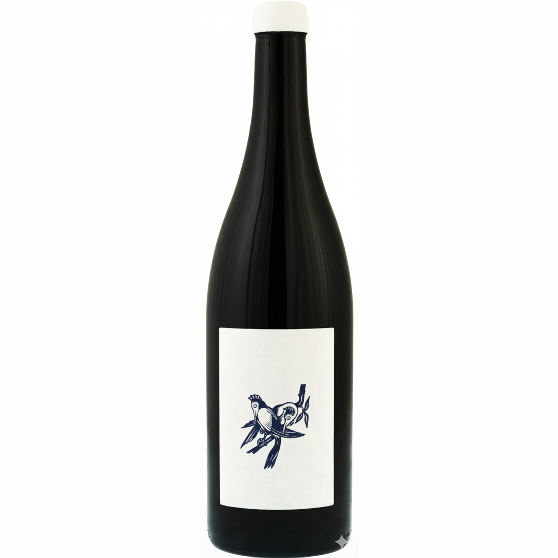 Domaine Réniteo Côte Roannaise Aves Les Oiseaux Rares 2024 – Marvis ...